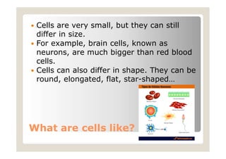 Cells | PDF