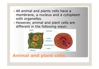 Cells | PDF