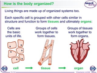 Cells | PPT
