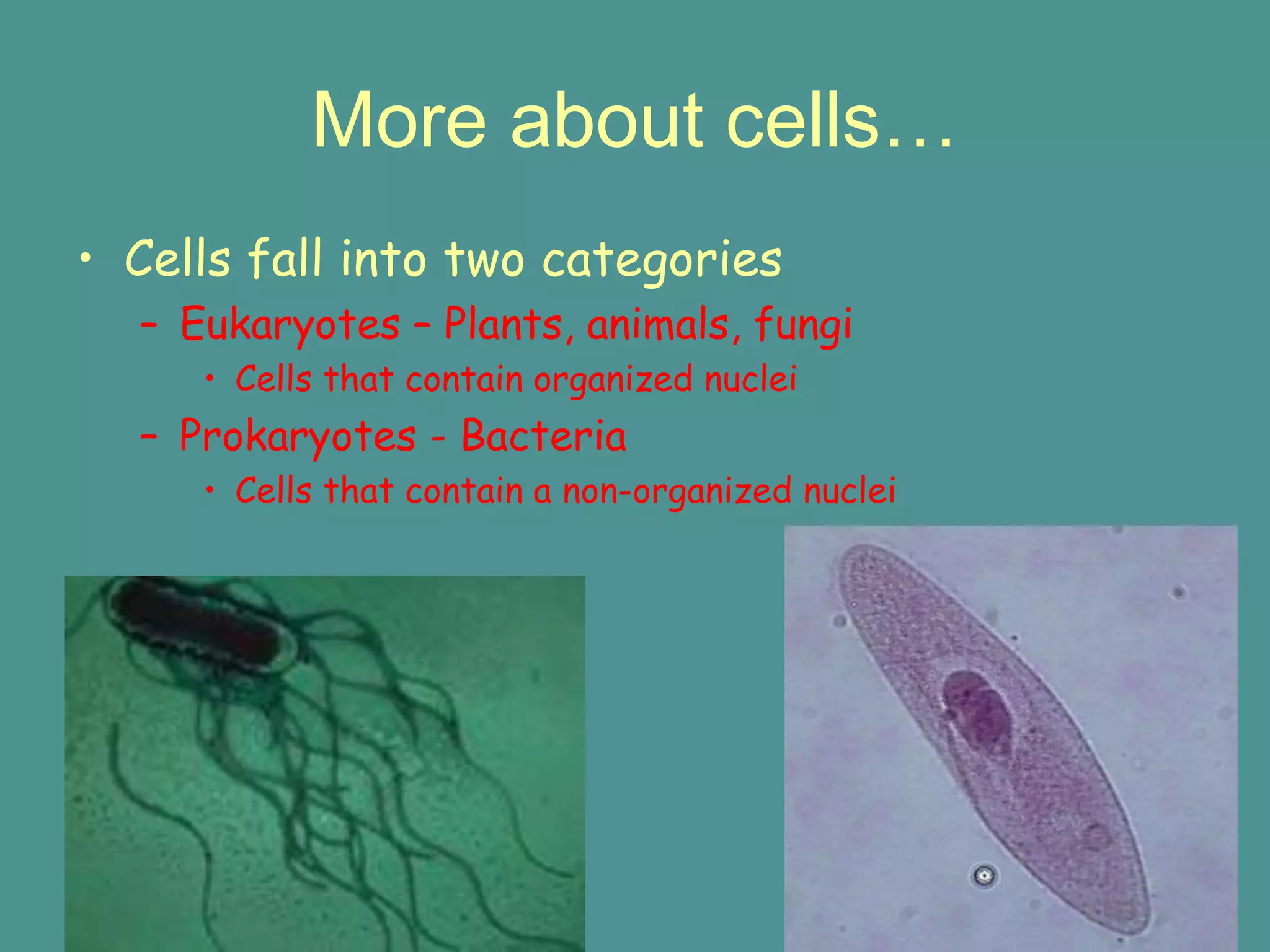 Cells.ppt | Biological Sciences | Science
