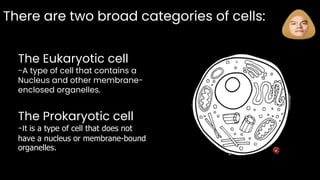 cells.pptx