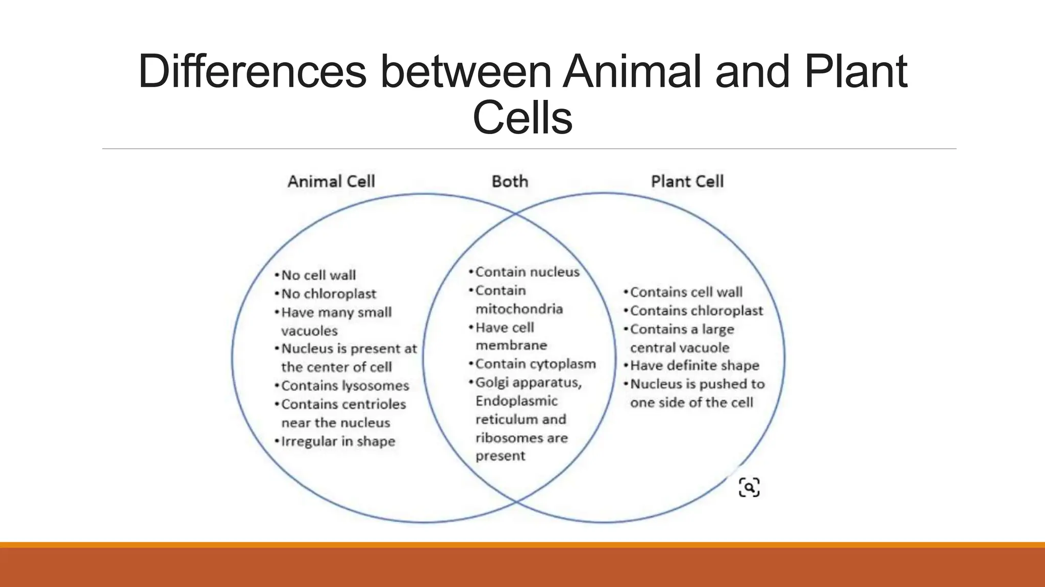 Cells - Animal cell vs Plant Cell.pptx