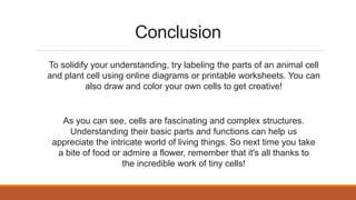 Cells - Animal cell vs Plant Cell.pptx