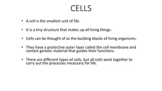 cells are fundamental and structural.pptx
