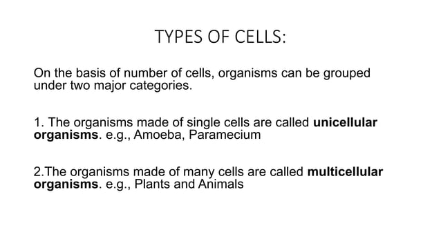 cells are fundamental and structural.pptx