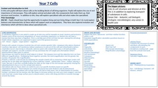 cells.pptx, plants and animal cell in biology | PPT