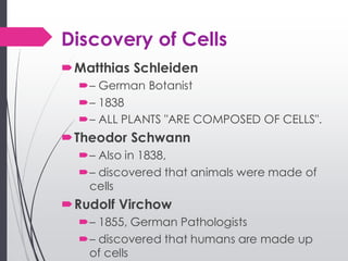 Cells.pdf study of cells and tissue that from human | PDF