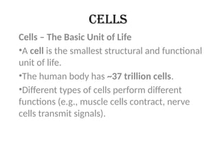 human body cells #list of cells #medical study | PPTX