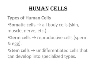 human body cells #list of cells #medical study | PPTX