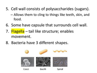 Cells: Cell Theory and Prokaryotic and Eukaryotic Cells.ppt
