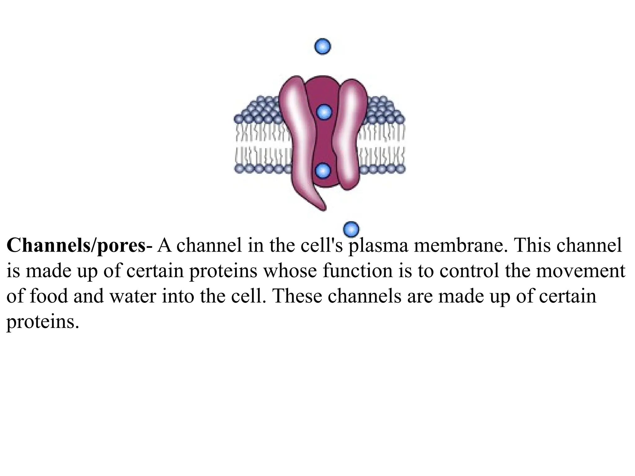 cells stucture function cell organelle.pptx