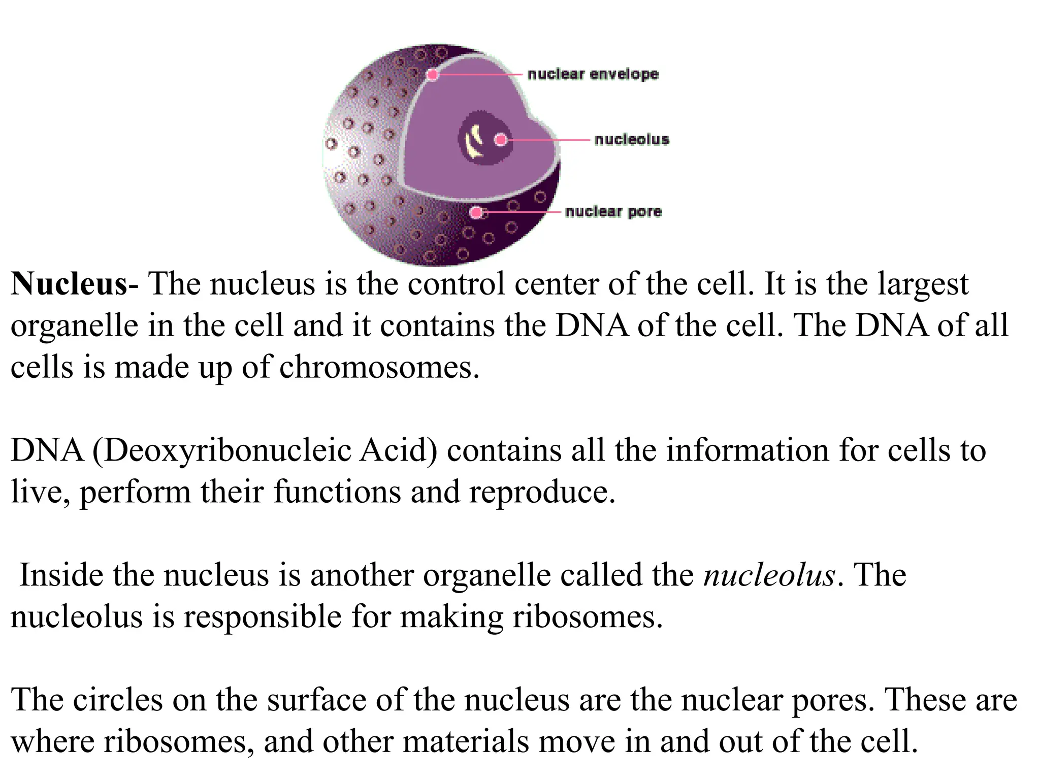 cells stucture function cell organelle.pptx