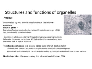 Cells- cell organelles and functions.pptx
