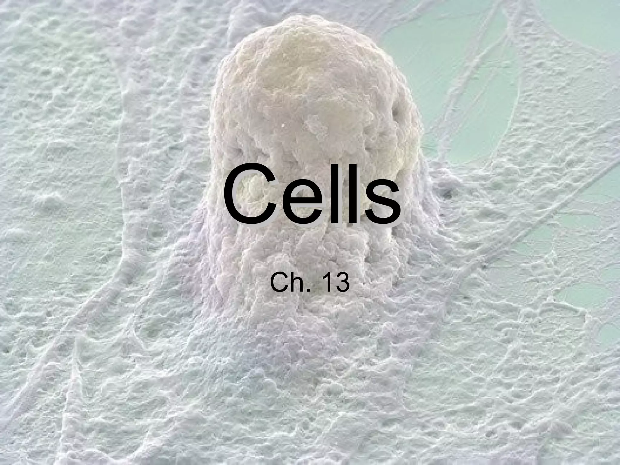 Cells 6th Grade | PPT
