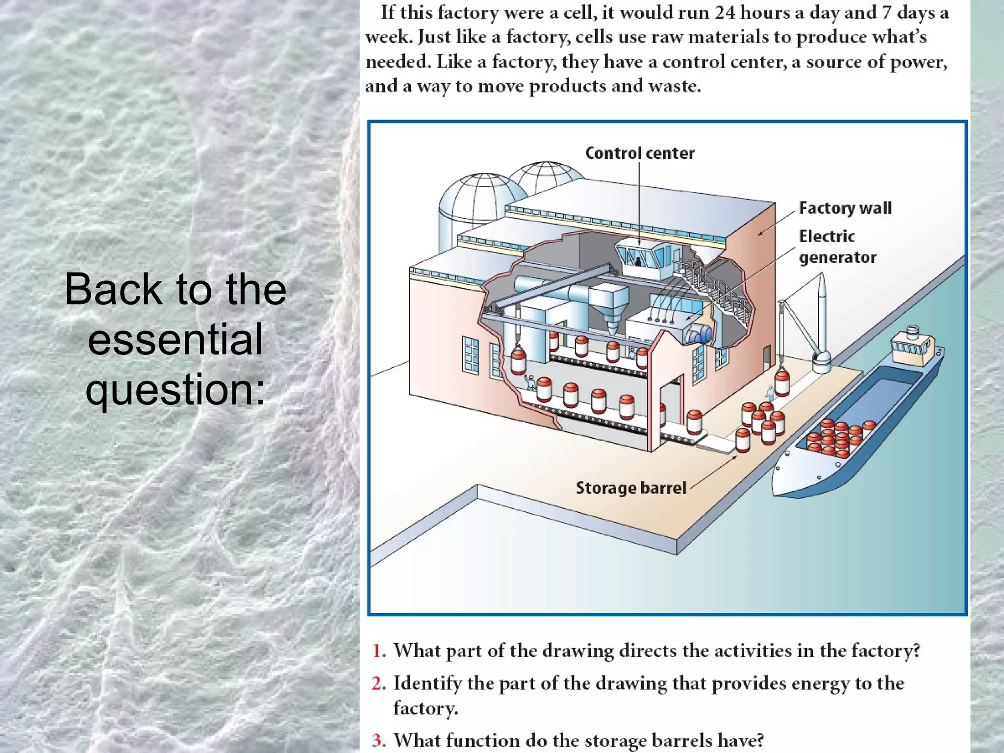 Cells 6th Grade | PPT