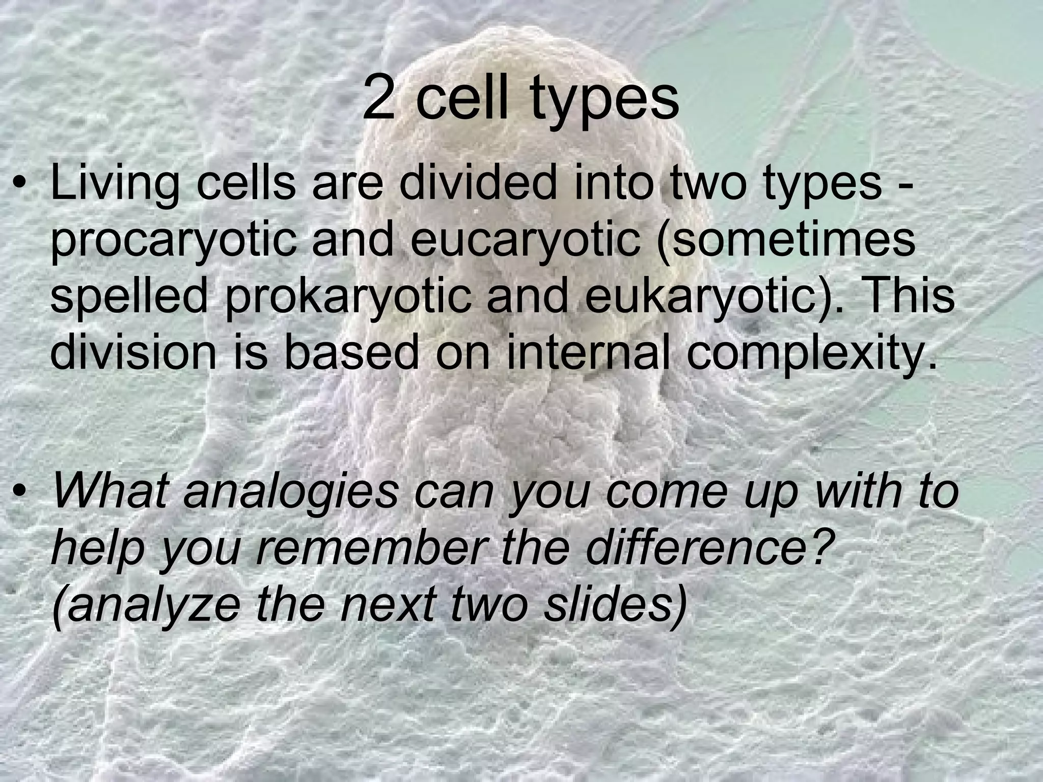 Cells 6th Grade | PPT