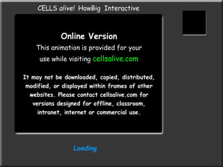 Cells 6th Grade | PPT