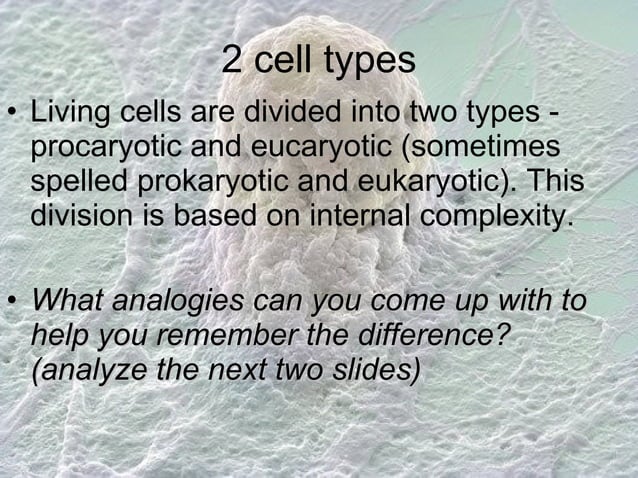 Cells 6th Grade | PPT