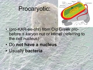Cells 6th Grade | PPT