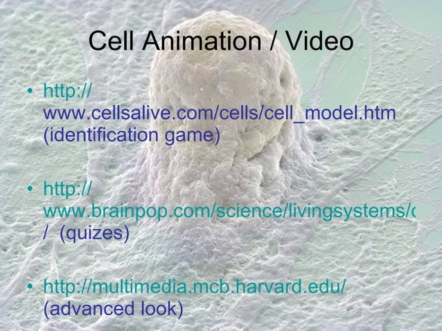 Cells 6th Grade | PPT