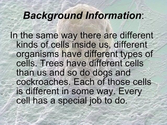 Cells 6th Grade | PPT