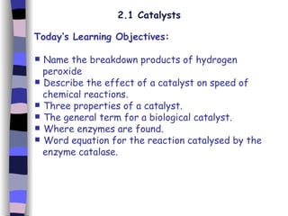 Cells And Enzymes | PPT