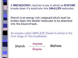 Cells And Enzymes | PPT