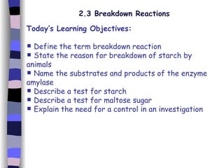 Cells And Enzymes | PPT