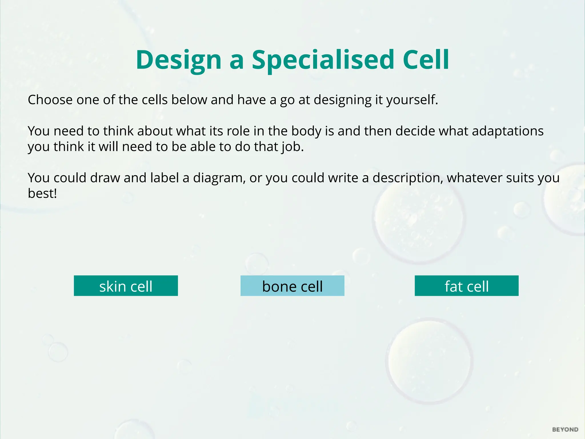 Cells-and-Organisation-L4-Specialised-Cells-PowerPoint.pptx