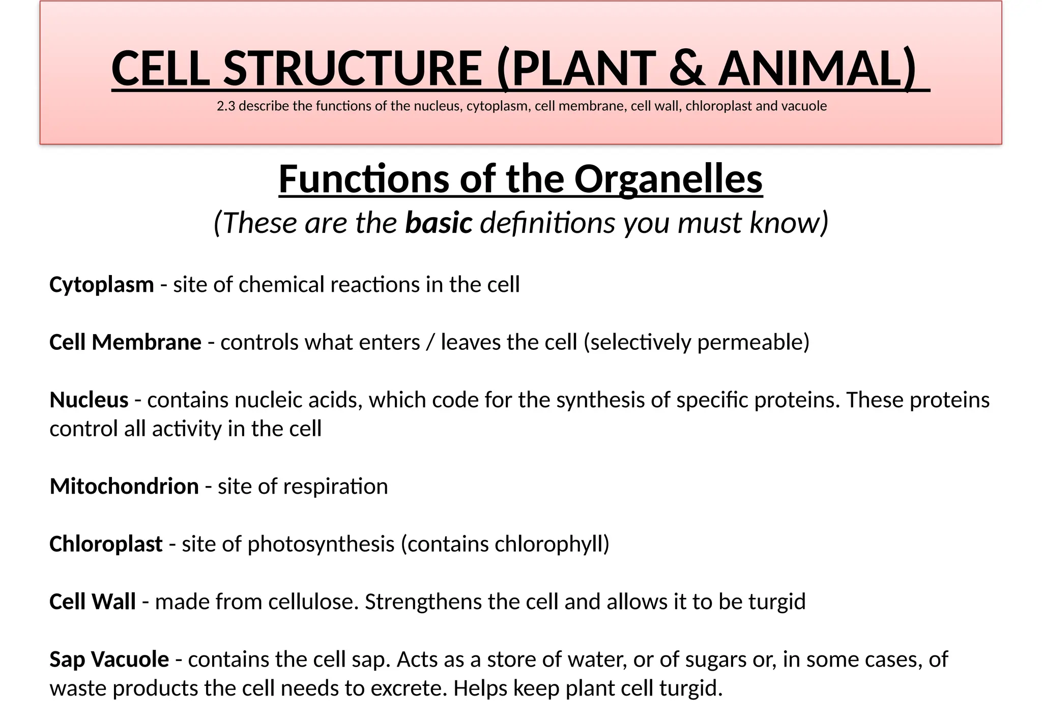 Cells-and-Organisation-Y10-IGCSE-CIE.pptx