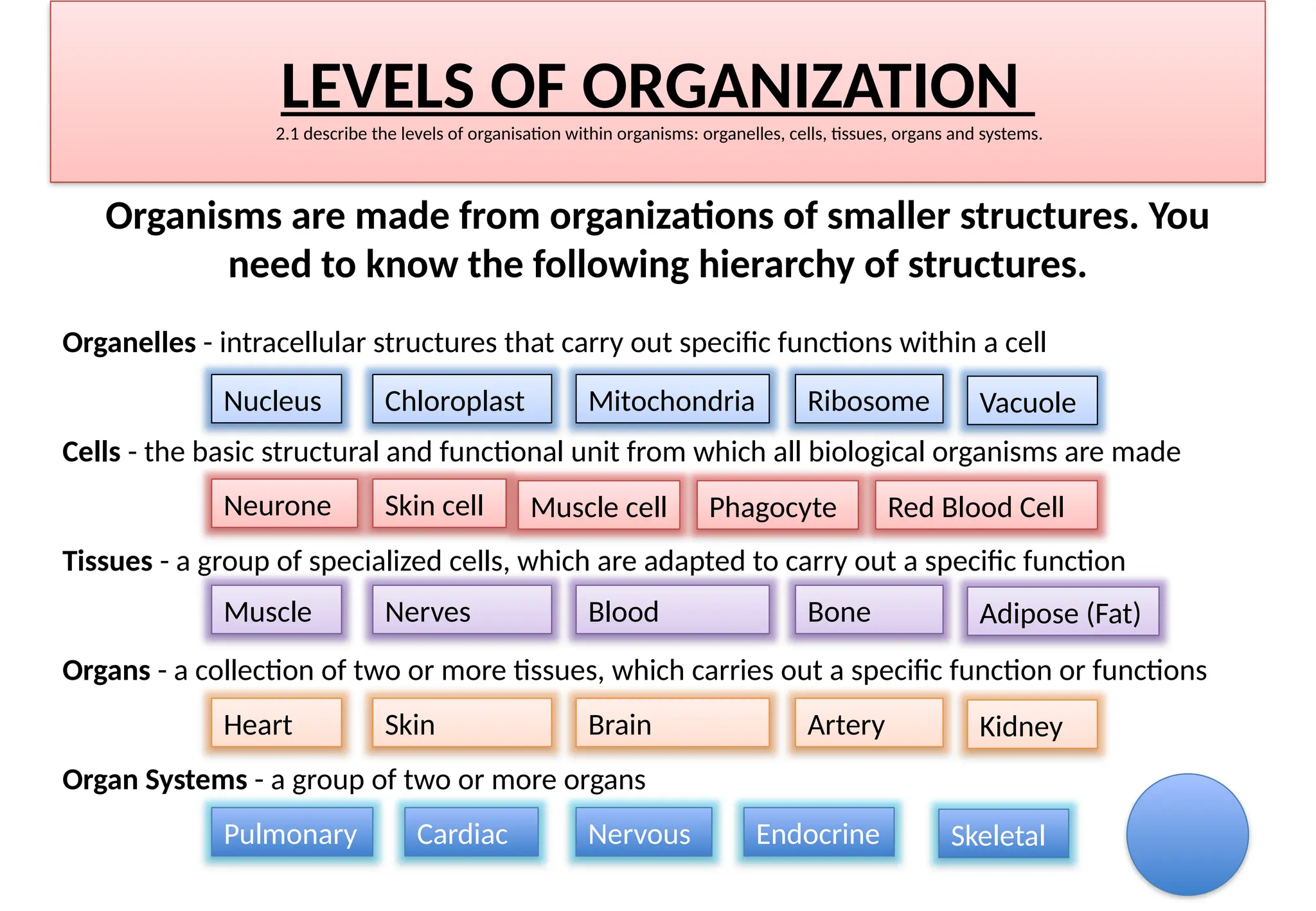 Cells-and-Organisation-Y10-IGCSE-CIE.pptx