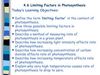 Cells And Photosynthesis | PPT