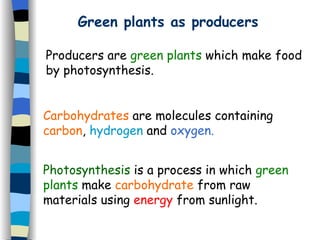 Cells And Photosynthesis | PPT