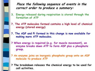 Cells And Respiration | PPT