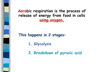 Cells And Respiration | PPT
