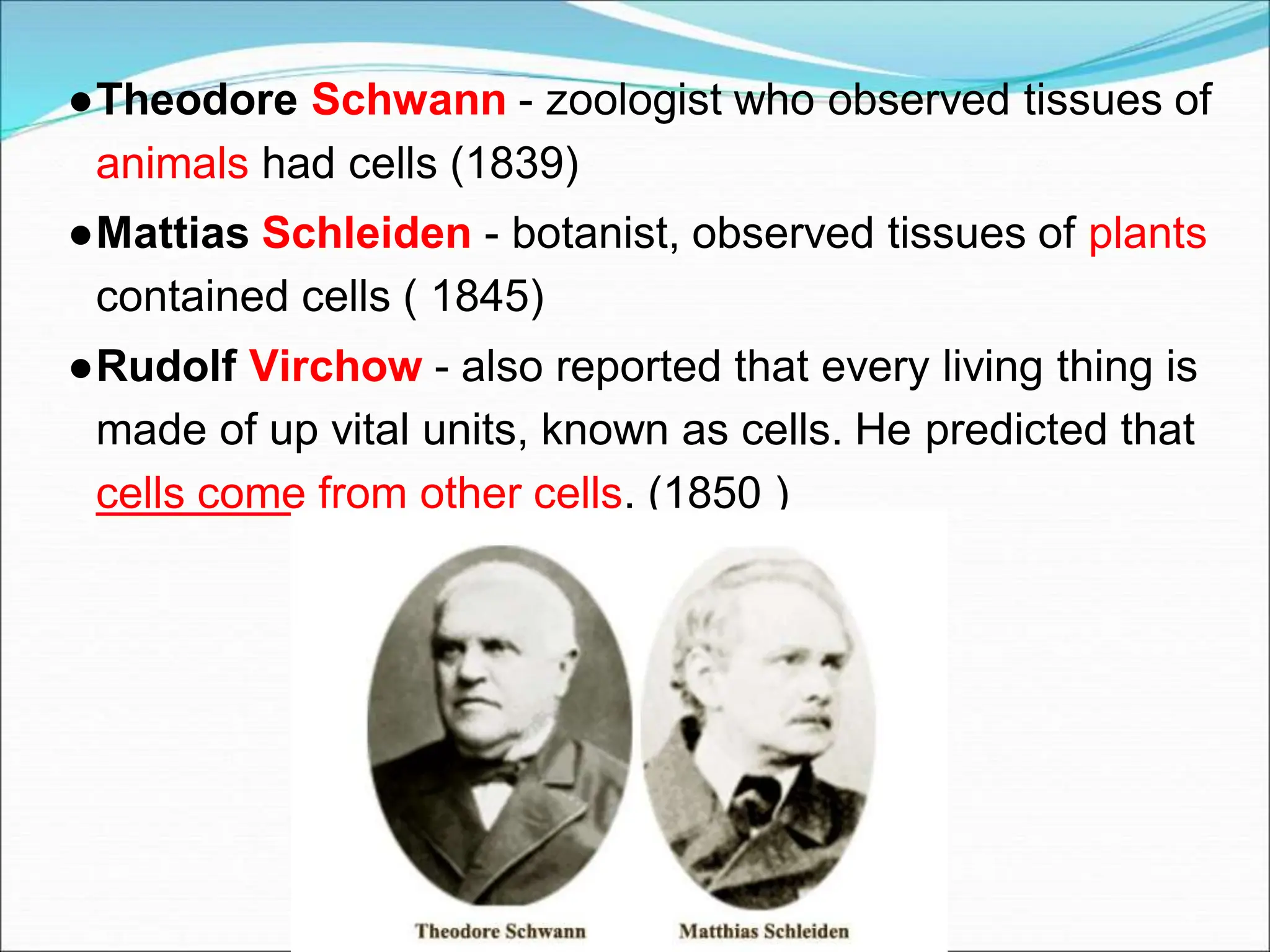 Cells-and-the-Cell-Theory, Gen.Bio 1 Stem 11 A | PDF