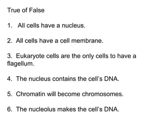 Cells-and-the-Cell-Theory, Gen.Bio 1 Stem 11 A | PDF