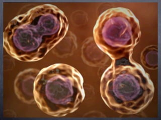 Cells- growth and repair | KEY