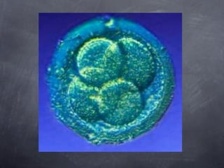 Cells- growth and repair | KEY