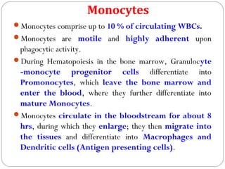 Cells of immune system | PPT