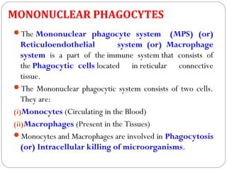 Cells of immune system | PPT