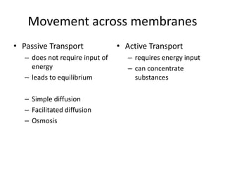 Cells movement across membranes pt 2 | PPTX