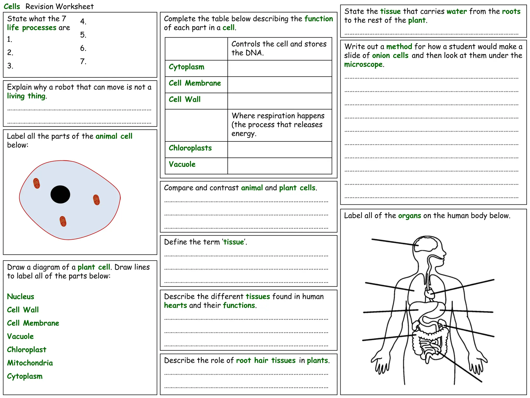 Cells-Revision-Worksheet-1 secondary school | PPT