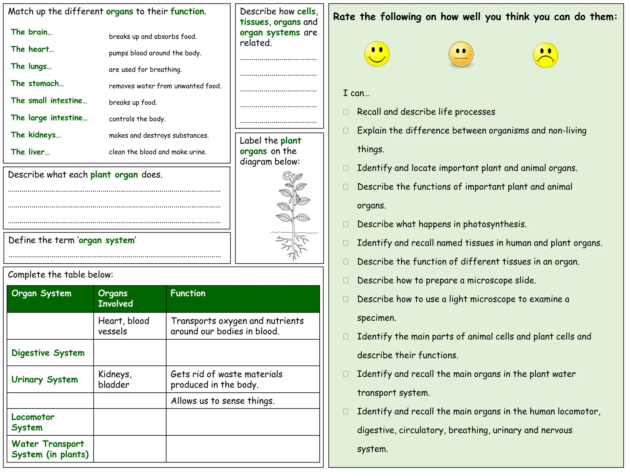 Cell Revision Sheet