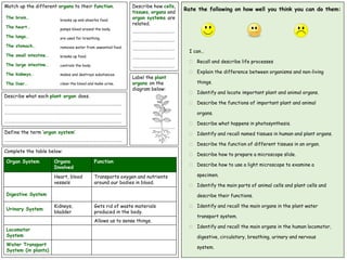 Cells-Revision-Worksheet-1 secondary school | PPT