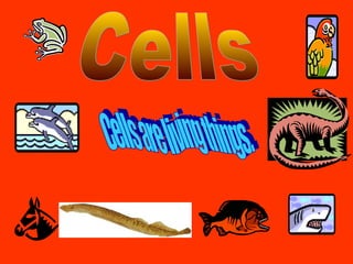 Cells the basic unit of life (science) | PPT
