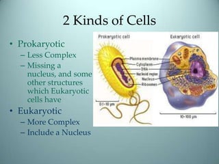 Cells the structure of life | PPT