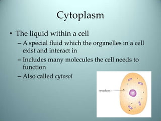 Cells the structure of life | PPT