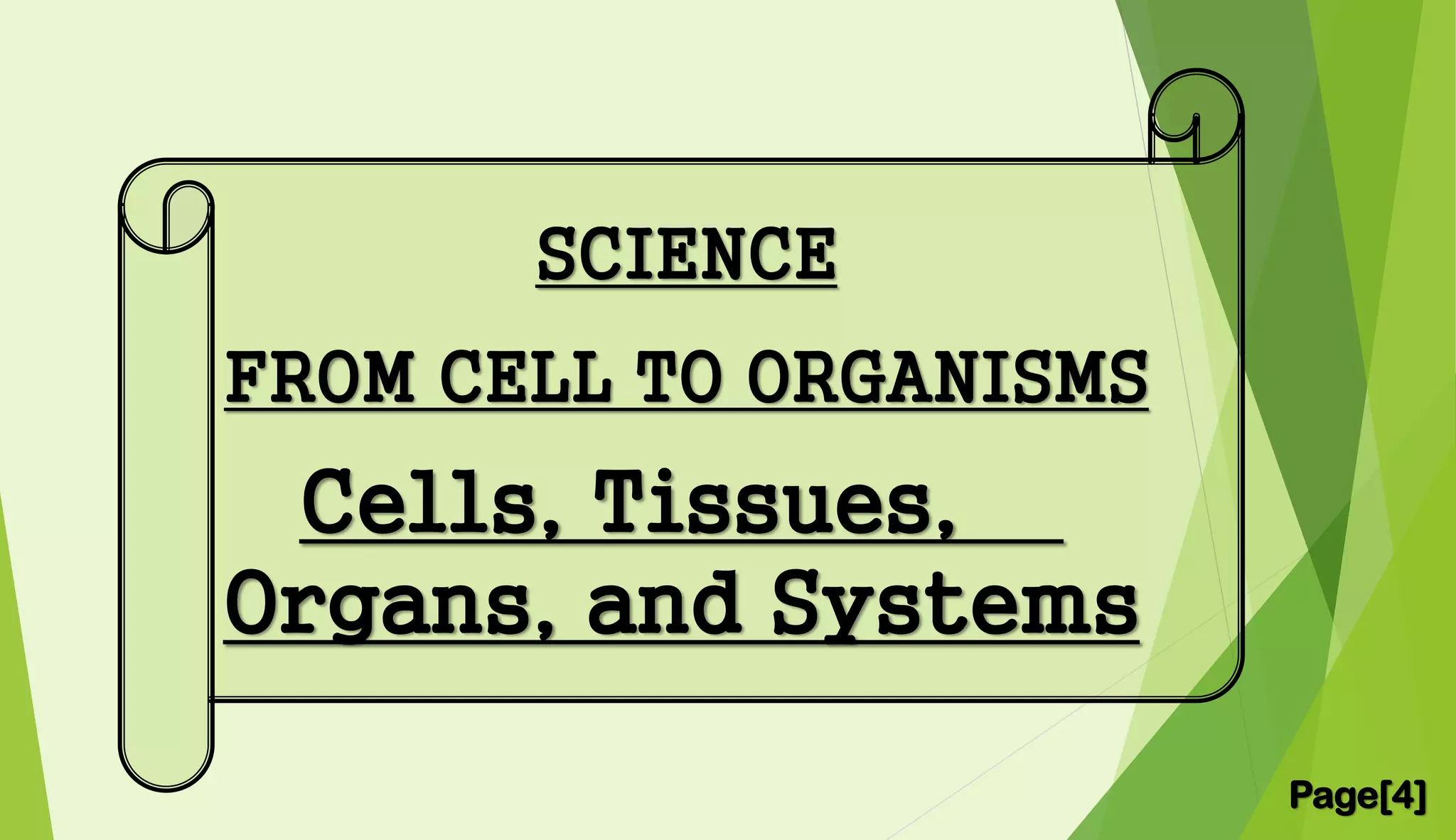 Cells tissues-organs-4 | PPT