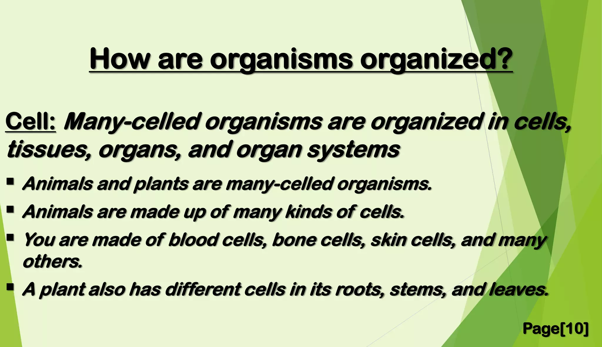 Cells tissues-organs-4 | PPT
